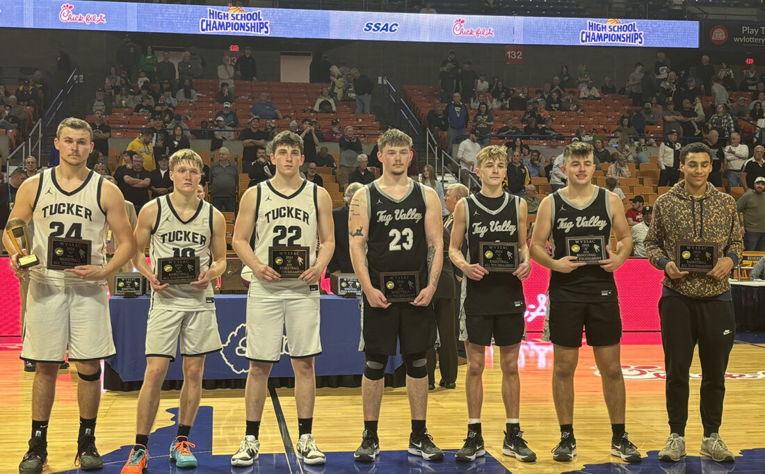 Mountain Lions fall in title game | News, Sports, Jobs - The Intermountain